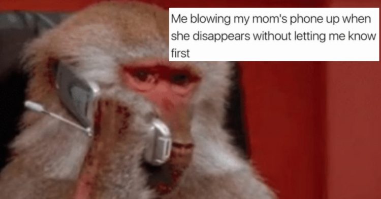 Literally Just 20 Of The Purest Memes On The Internet